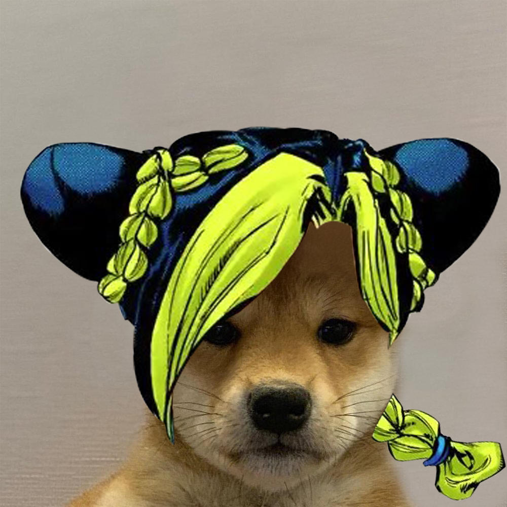 Jolyne Dogwifhat | Dogwifhat | Know Your Meme