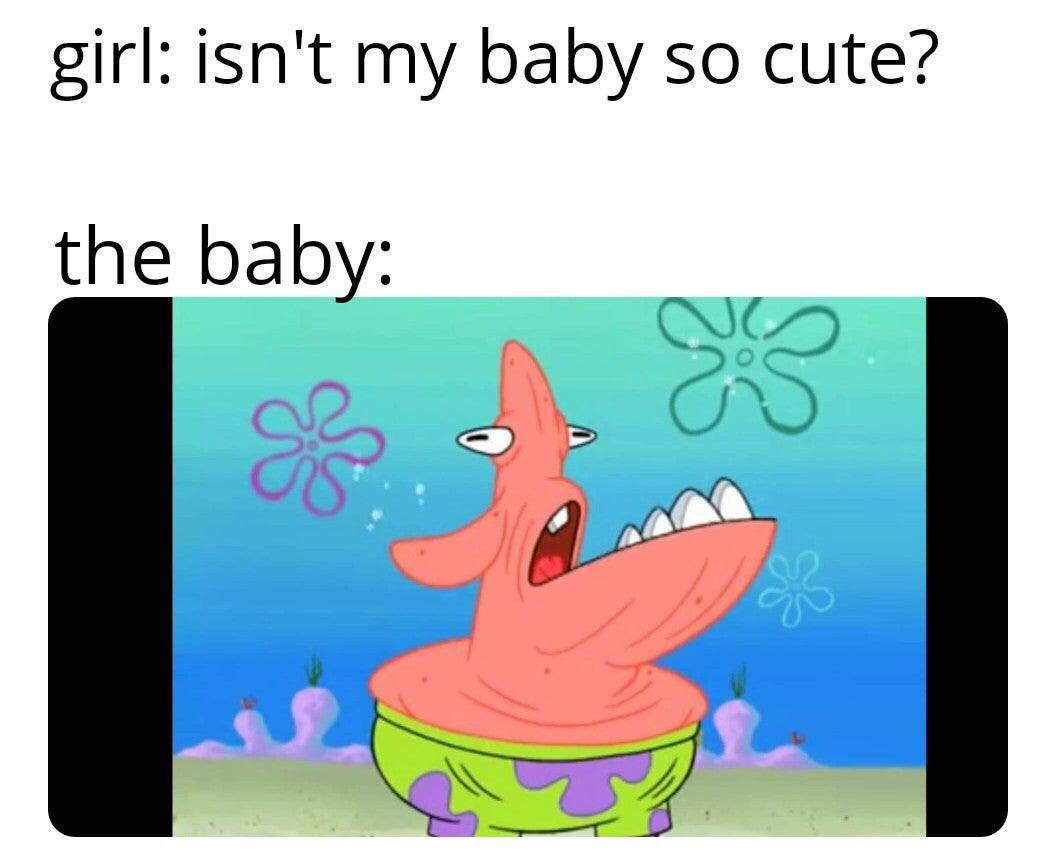 Awe, adorable | /r/BikiniBottomTwitter | SpongeBob SquarePants | Know ...