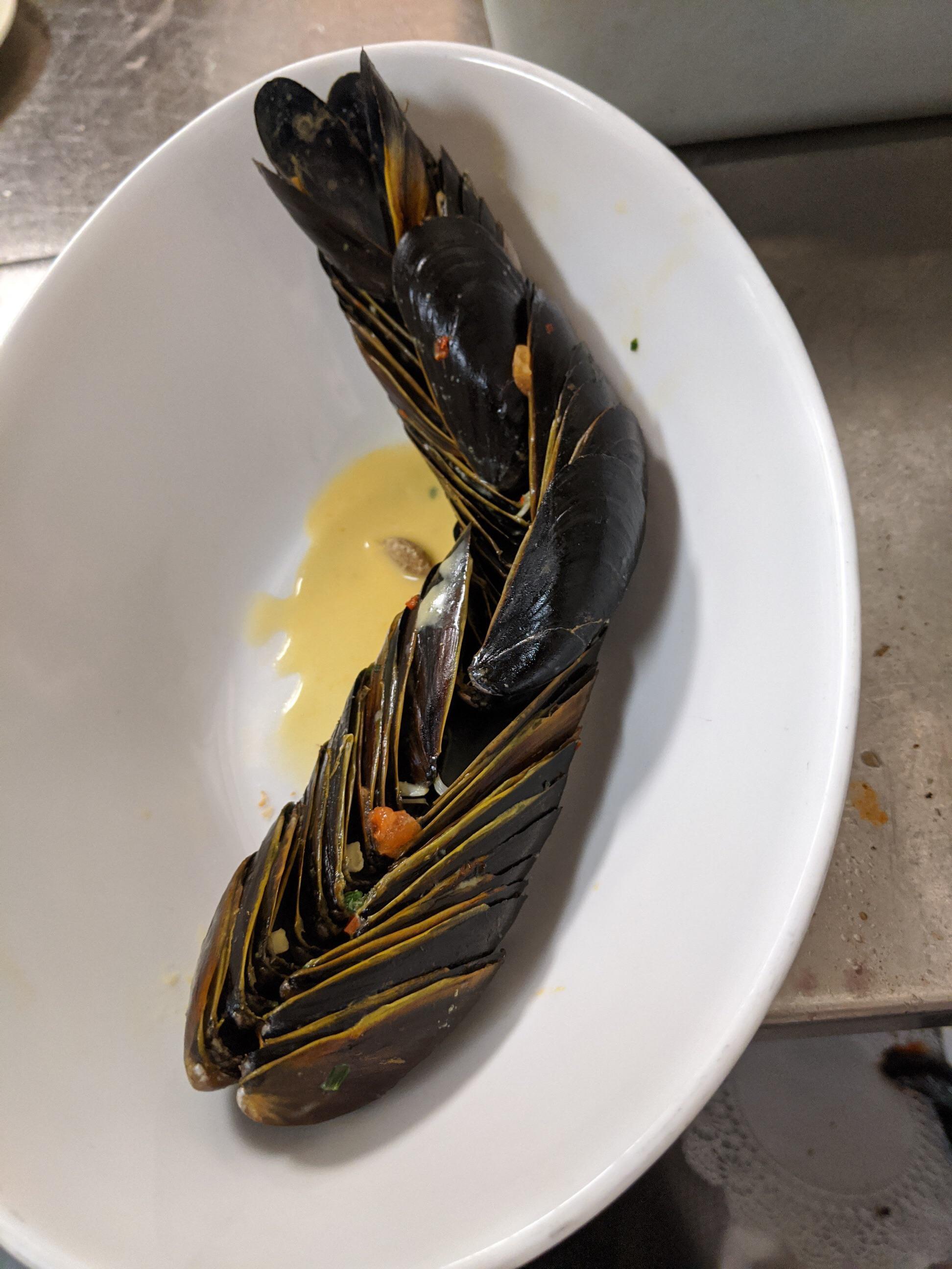 The way my customer stacked her mussel shells | /r/mildlyinteresting ...