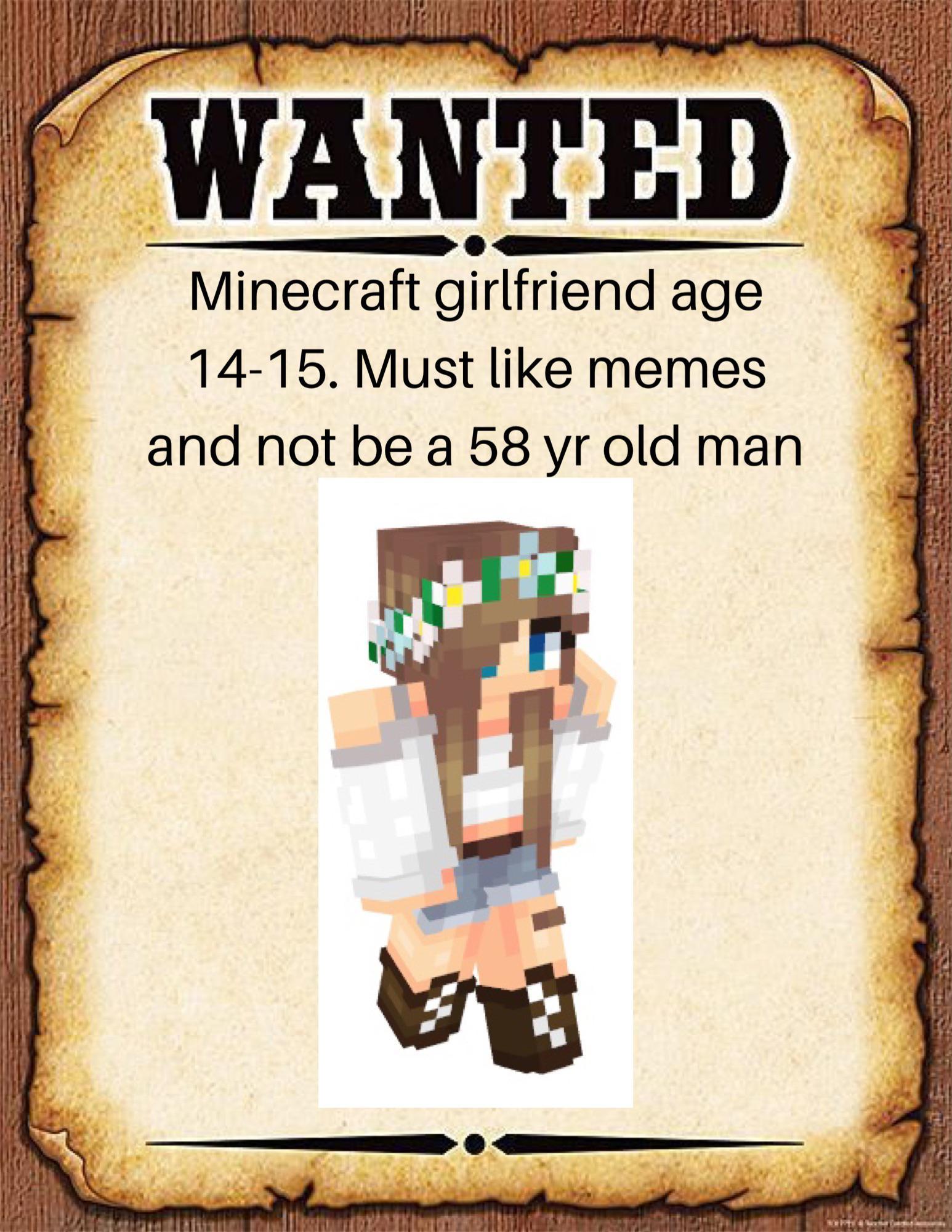 Please I need girl so I can be not alone | /r/MinecraftMemes ...