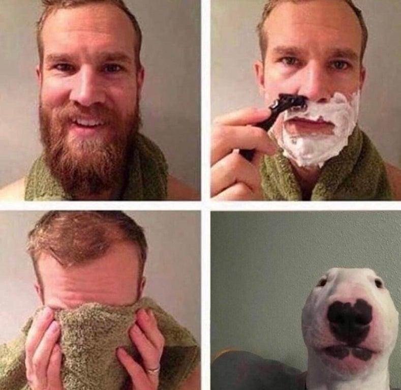 shaving | Staring Animals | Know Your Meme