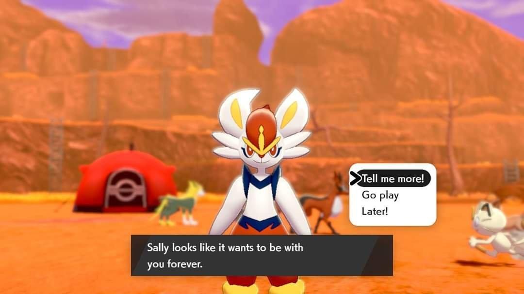 Tell Me More | Pokémon Sword and Shield | Know Your Meme