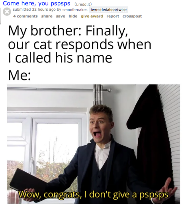 My brother finally out cat responds when I alled his name | Pspspsps | Know Your Meme