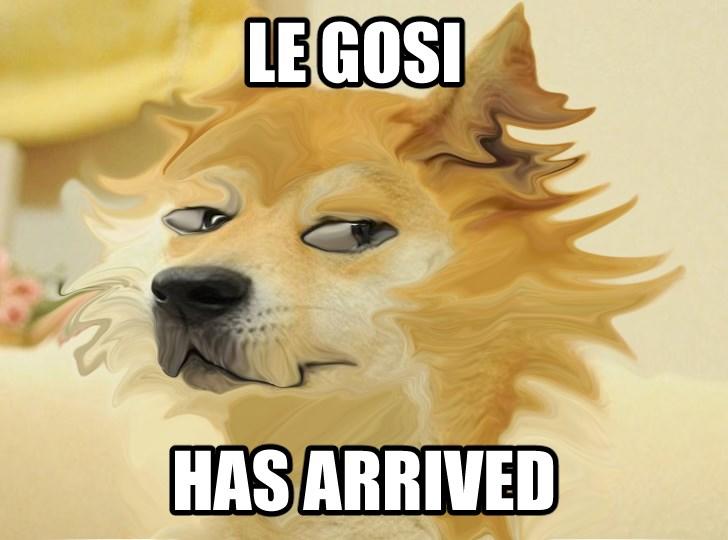 Le gosi has arrived | Doge | Know Your Meme