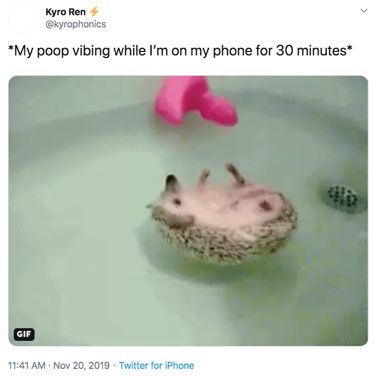 hedgehog floating | My Poop Vibing | Know Your Meme