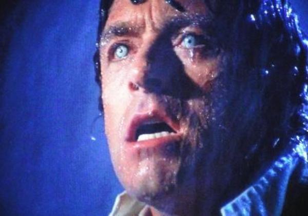 Is it a soy thing that doomers cannot transmute their pain into anger ...