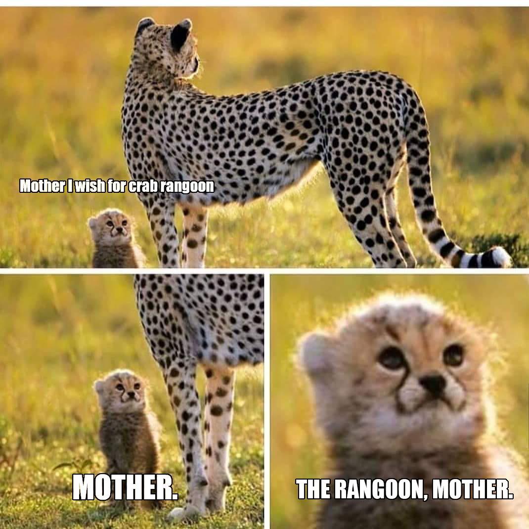 Rangoon | Crab Rangoon | Know Your Meme