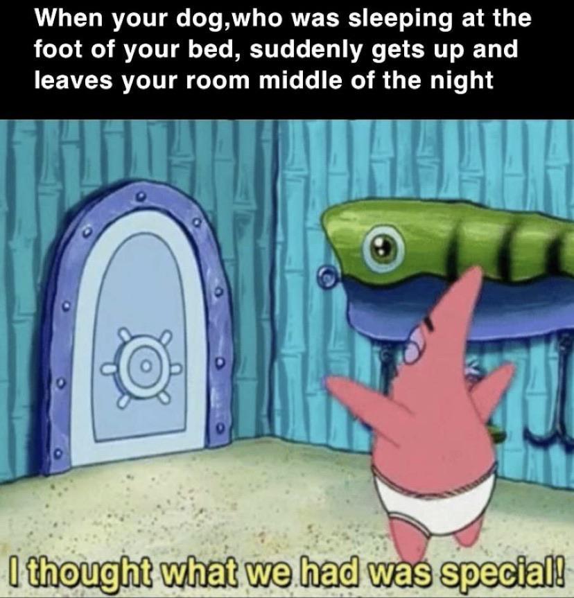We’ll have a no rules rule | /r/BikiniBottomTwitter | SpongeBob ...