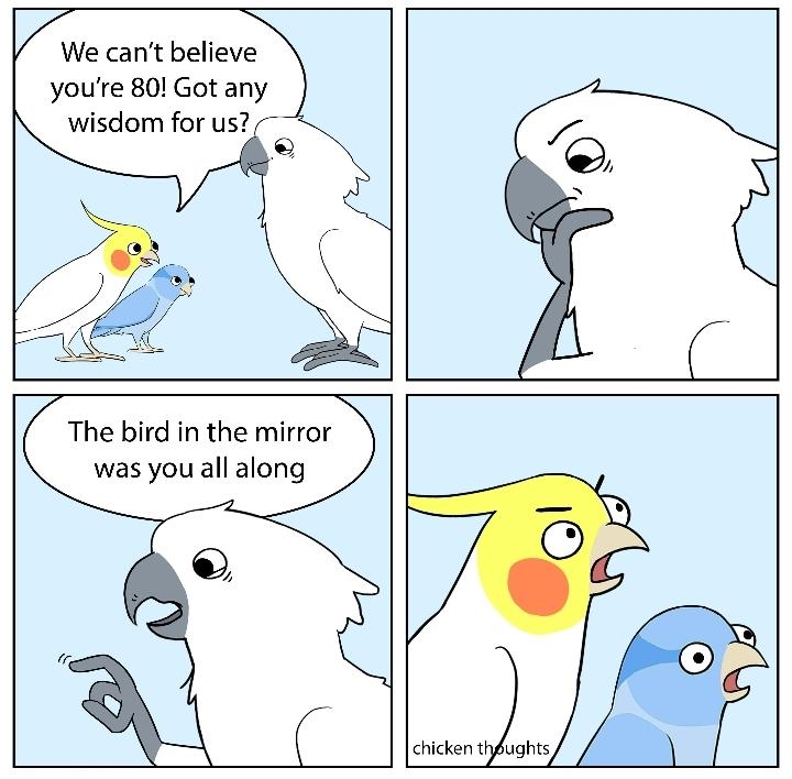 Birds life was a lie | /r/wholesomememes | Wholesome Memes | Know Your Meme