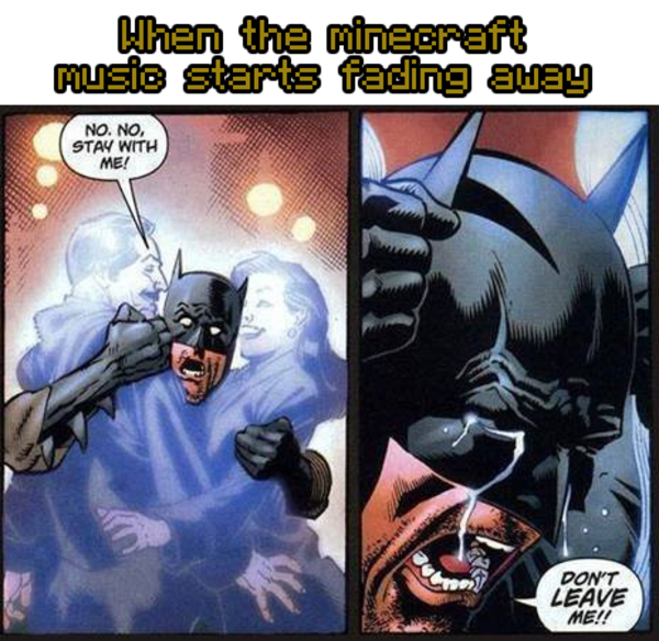 Do I just wait for the next one to start playing? | /r/MinecraftMemes ...