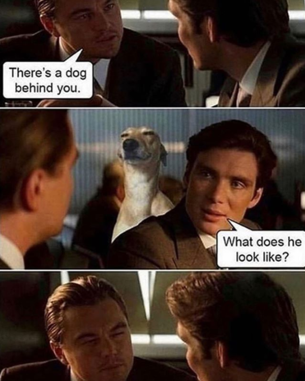Accurate Impression | Dogs | Know Your Meme