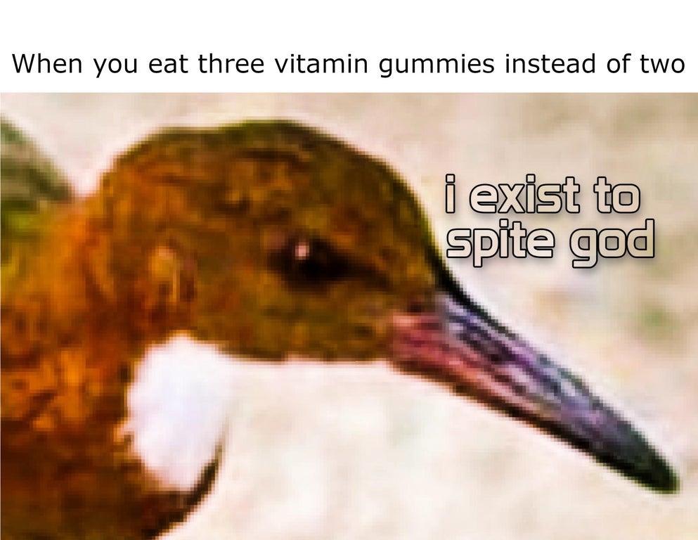 When you eat three vitamin gummies instead of two | Extinct Bird Re ...