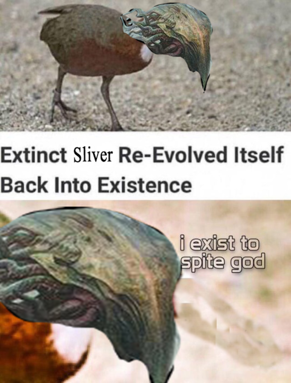 extinct silver re-evolved | Extinct Bird Re-Evolved Itself Back Into ...