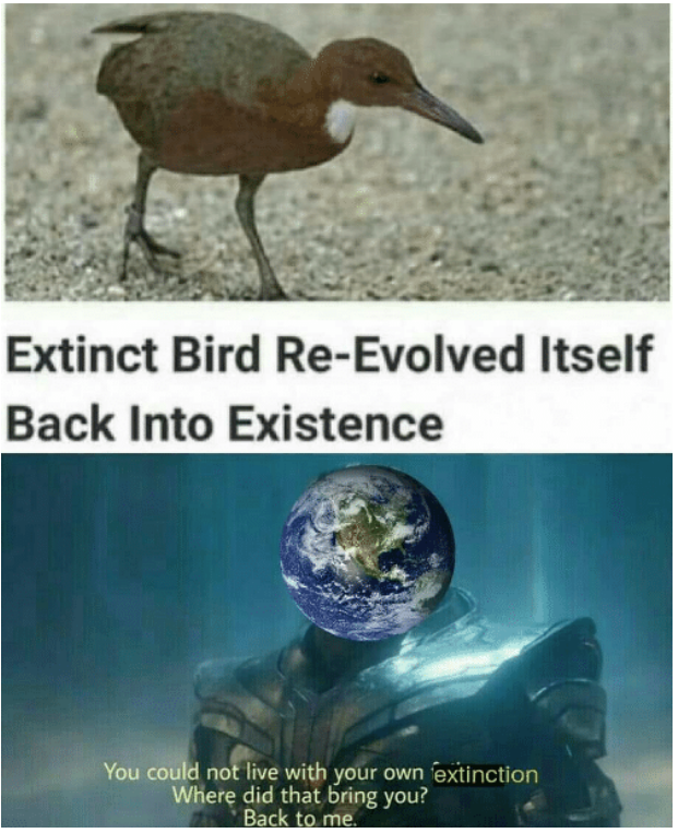 You could not live with your own extinction | Extinct Bird Re-Evolved ...