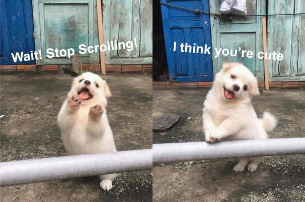 Jus boosting your self esteem today | /r/wholesomememes | Wholesome ...