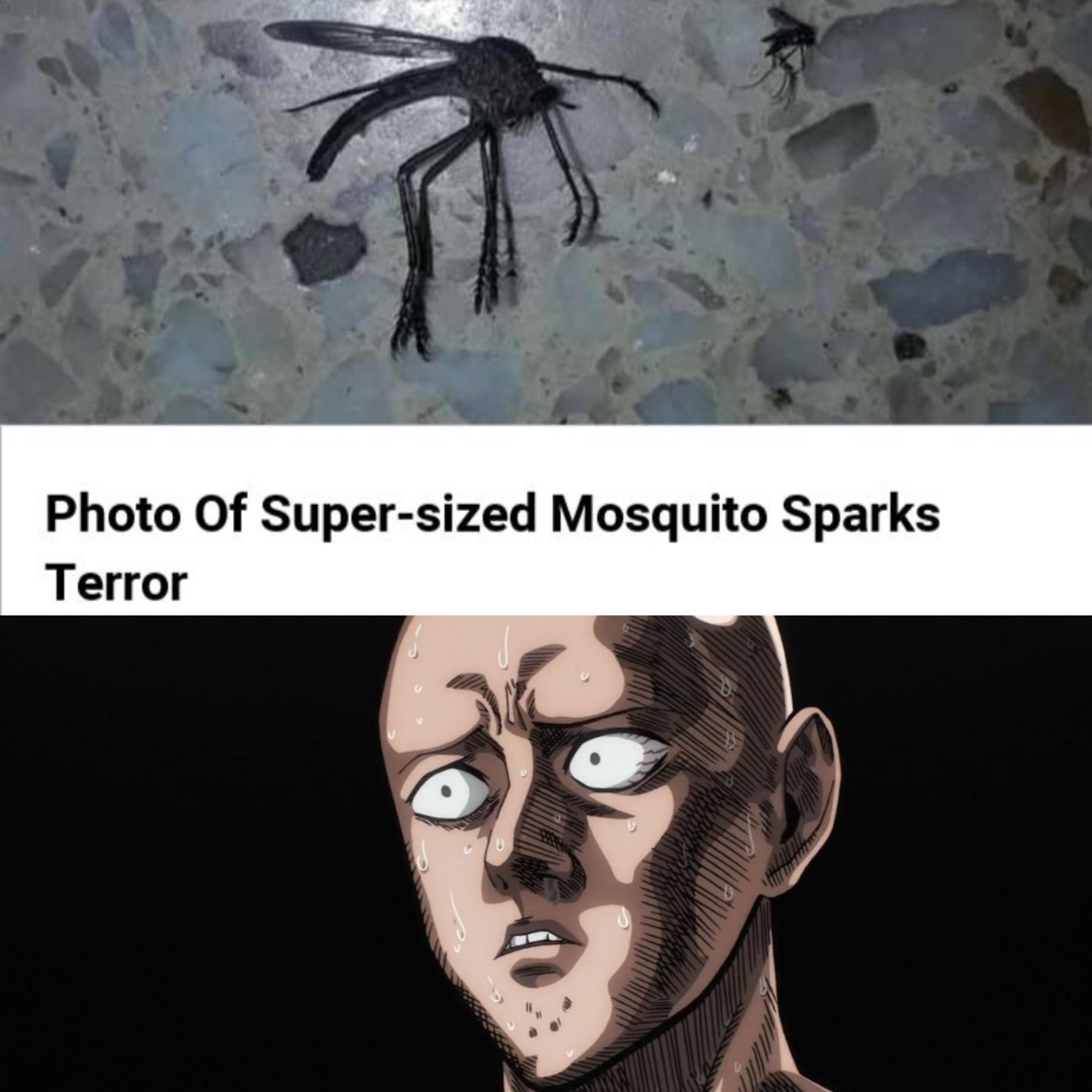 Saitama is scared to death | /r/OnePunchMan | One-Punch Man | Know Your ...