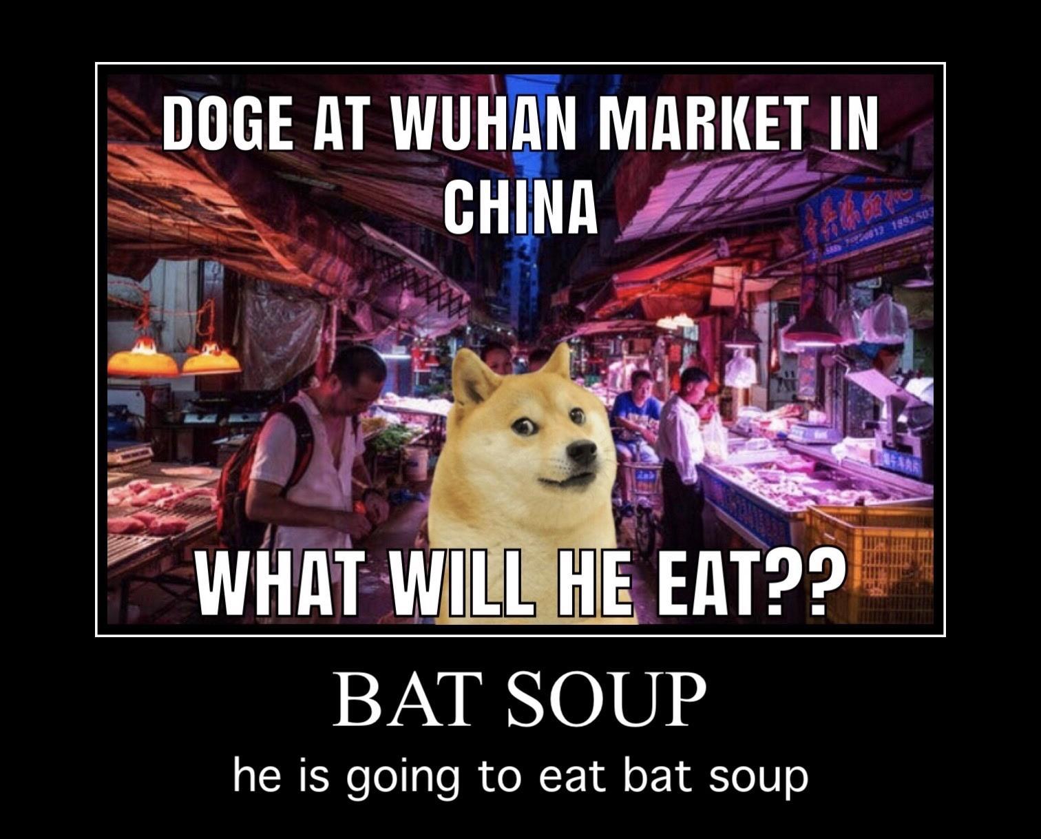 no doge don’t do it | /r/okbuddyretard | Coronavirus Bat Soup ...