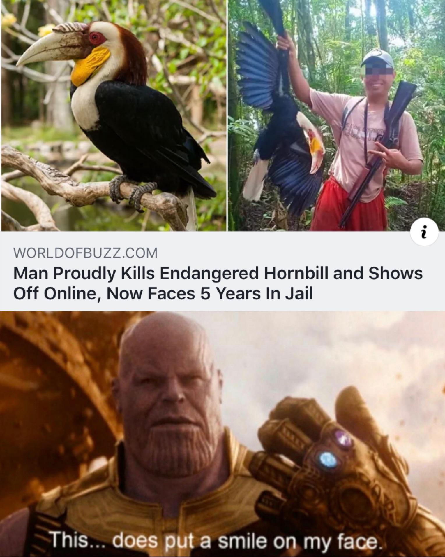 This Does Put A Smile On My Face Poacher | This Does Put a Smile on My ...