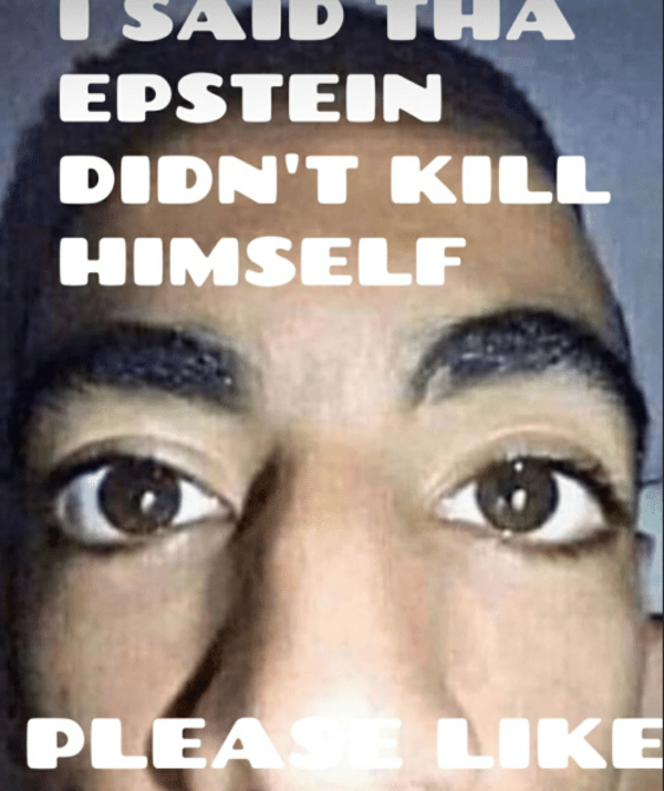 I said tha epstein didn't kill himself | Bruh Redditor | Know Your Meme