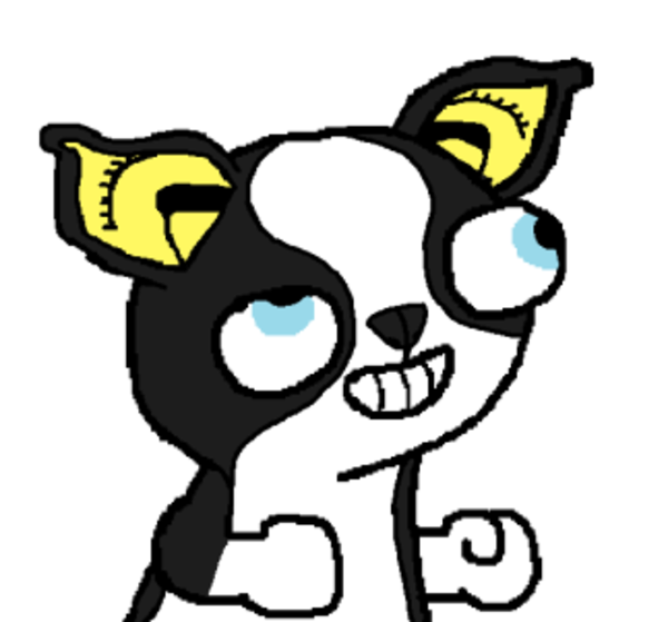 Day Eight - Iggy | JoJo's Bizarre Adventure | Know Your Meme