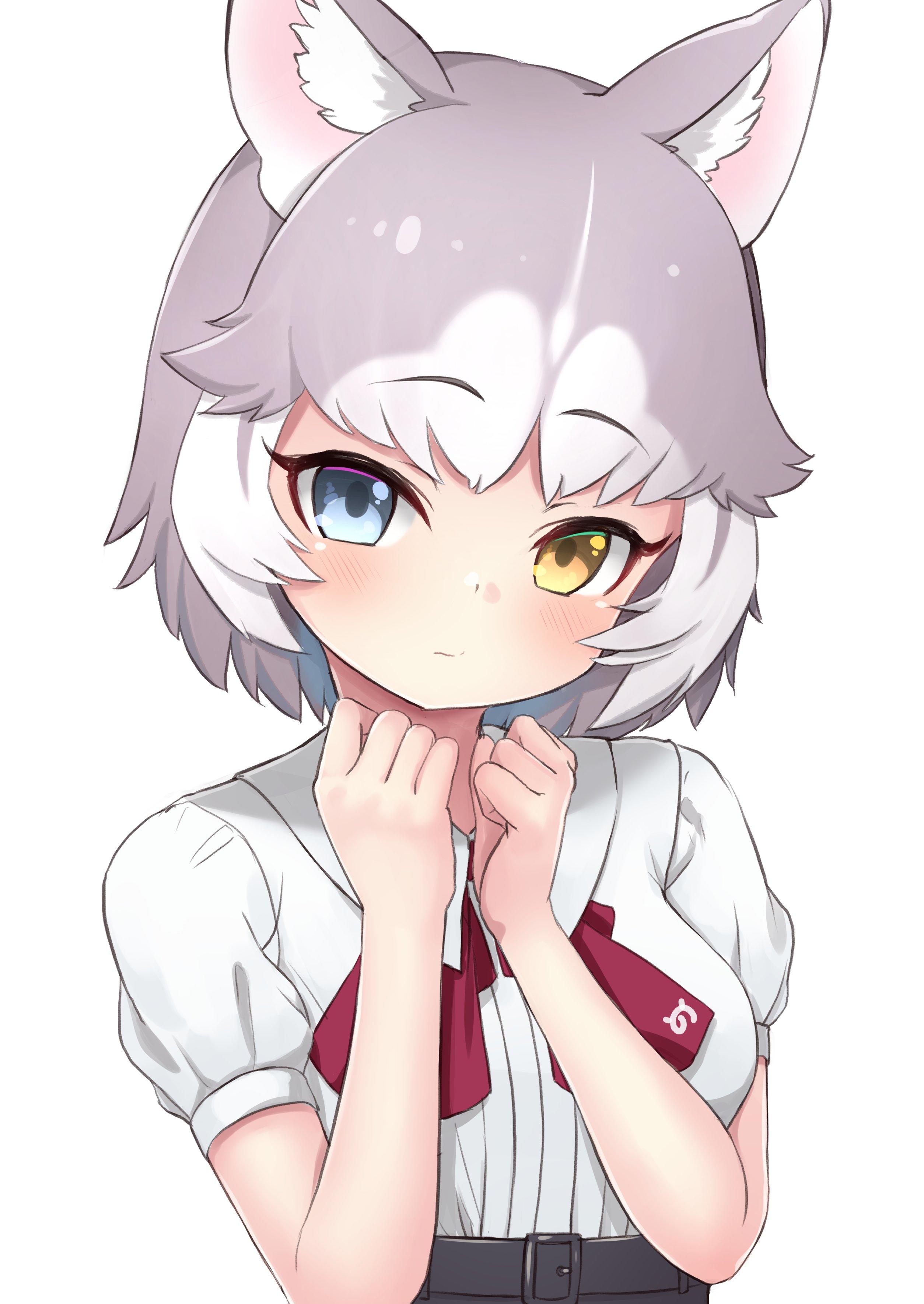 Casual Domestic Dog-chan | Kemono Friends | Know Your Meme