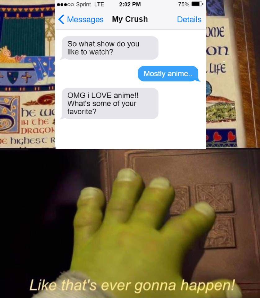 A weeb can dream.. | /r/Animemes | Like That's Ever Gonna Happen | Know ...