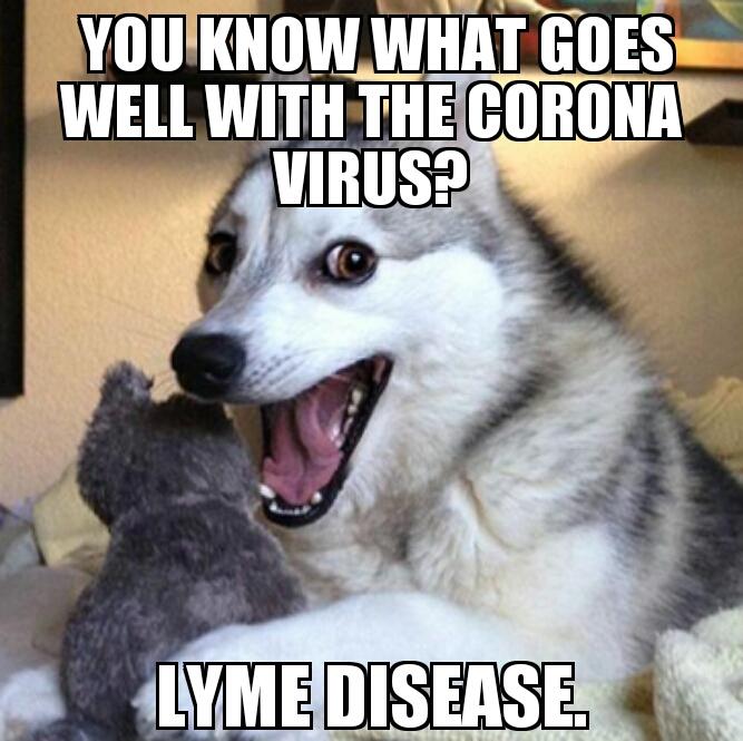 Im not trying to be rude but... | /r/AdviceAnimals | Advice Animals ...