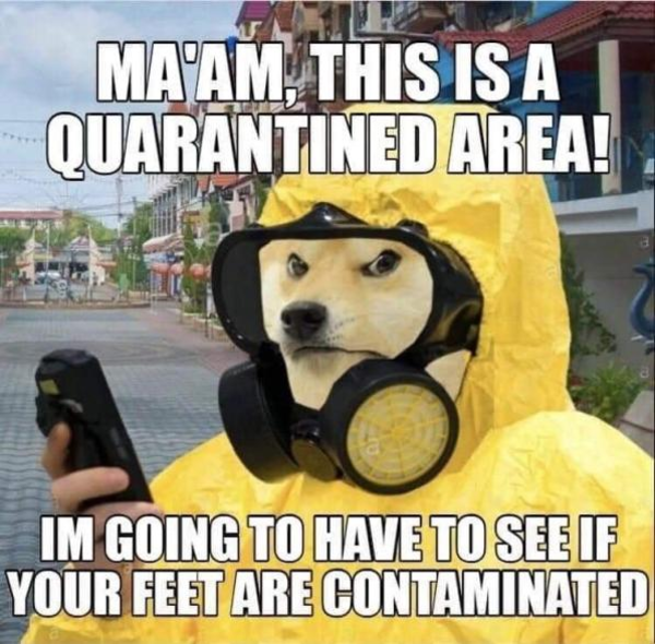 Doge Hazmat | Hazmat Suit Edits | Know Your Meme