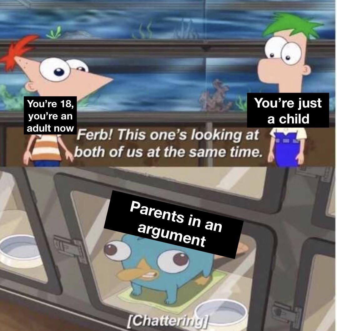 Every damn time | This One's Looking at Both of Us | Know Your Meme