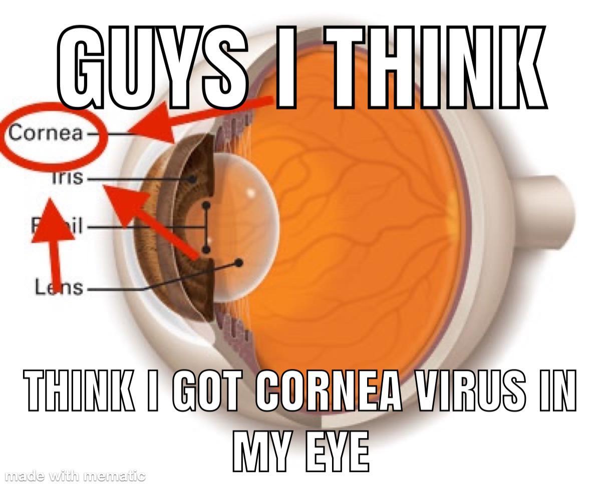 I will becom blind | /r/okbuddyretard | OkBuddyRetard | Know Your Meme