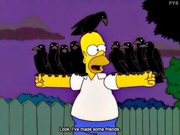 homer simpson with crows on arms "look i've made some friends" | The ...