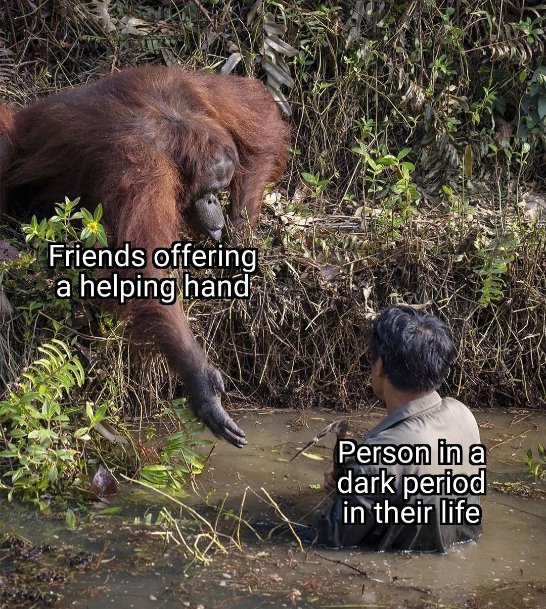 We all need a hand once in a while | /r/wholesomememes | Wholesome ...