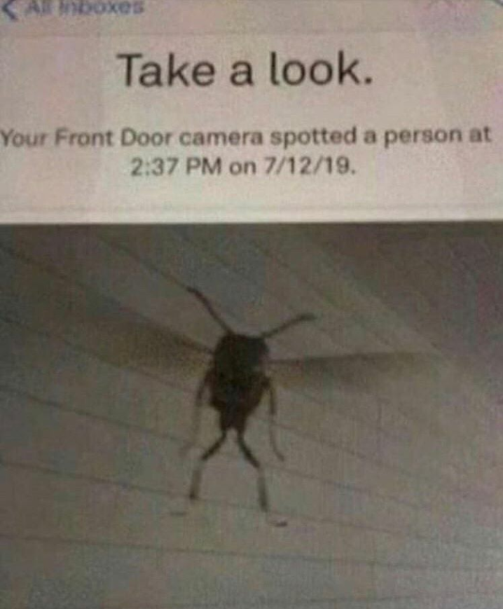 Take a look. | Perfectly Timed Photos | Know Your Meme