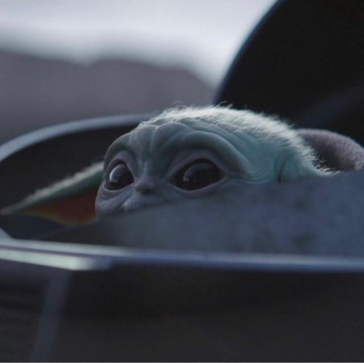Look at that fuzzy little noggin | /r/BabyYoda | Baby Yoda / Grogu ...