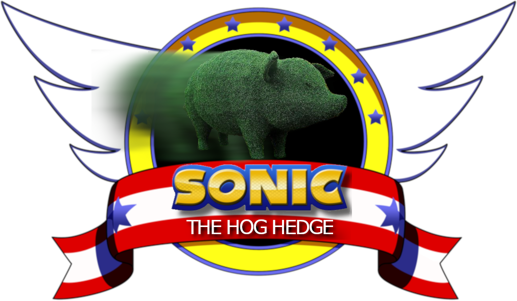 Sonic the hog hedge | /r/Sbubby | Sbubby | Know Your Meme
