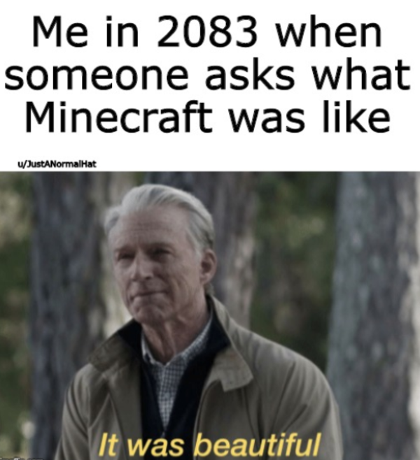 A little break from all the netherite memes | /r/MinecraftMemes ...