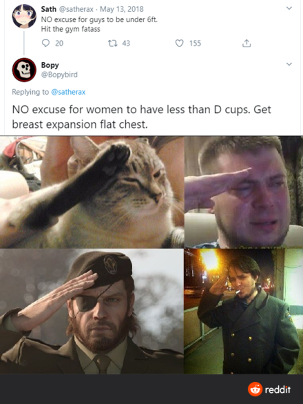 Haha funny salute meme | /r/ComedyCemetery | Comedy Cemetery | Know ...