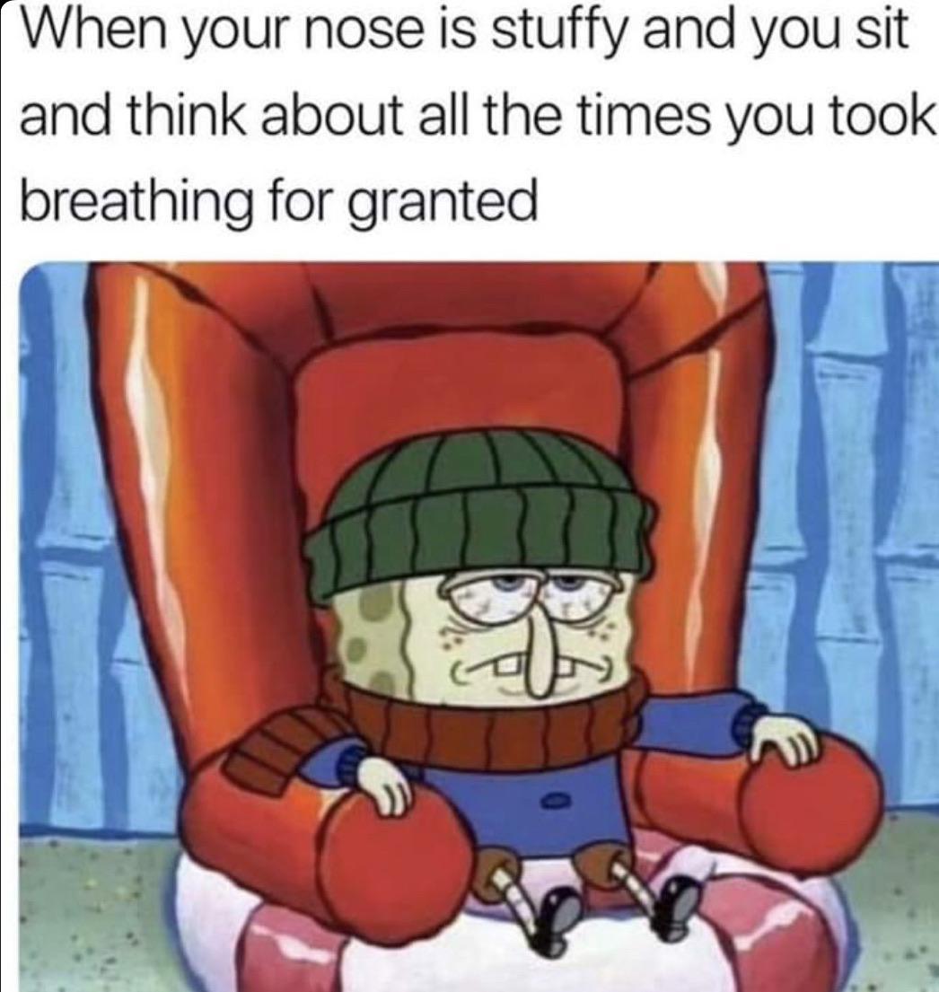 Do you get allergies under water? | /r/BikiniBottomTwitter | SpongeBob ...