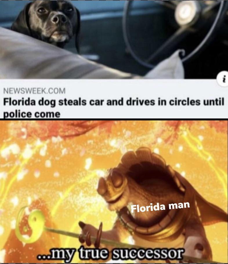 Florida Dog | Florida Man | Know Your Meme