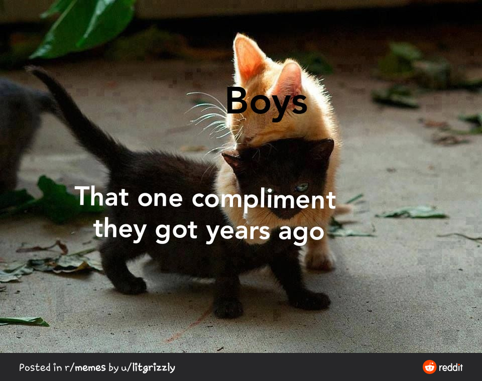 We need complements too | /r/wholesomememes | Wholesome Memes | Know ...
