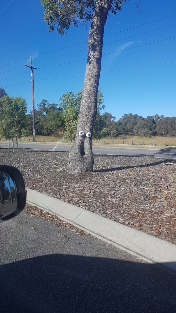 muppet tree | Eyebombing | Know Your Meme