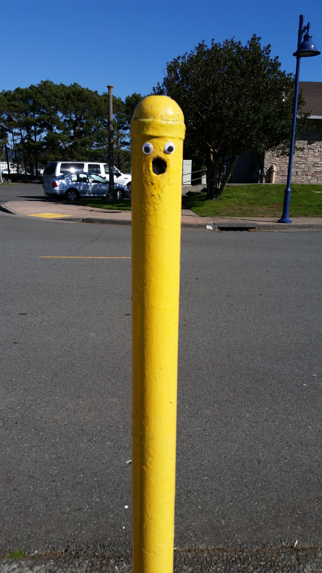 pole | Eyebombing | Know Your Meme