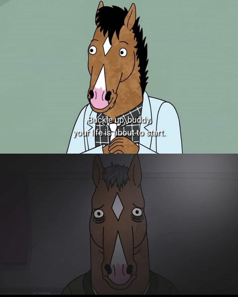 How was your day guys :) | /r/BoJackHorseman | BoJack Horseman | Know ...