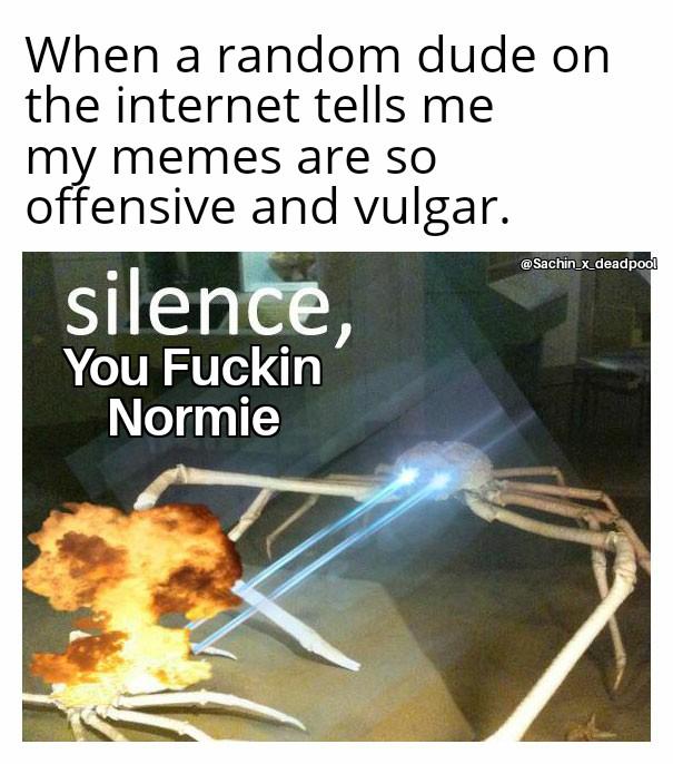 Silence you Normies | Normie | Know Your Meme