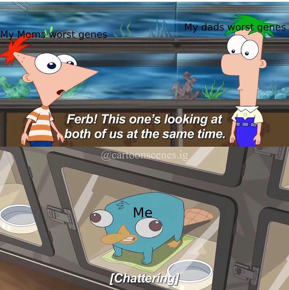 Genetic Lottery | This One's Looking at Both of Us | Know Your Meme