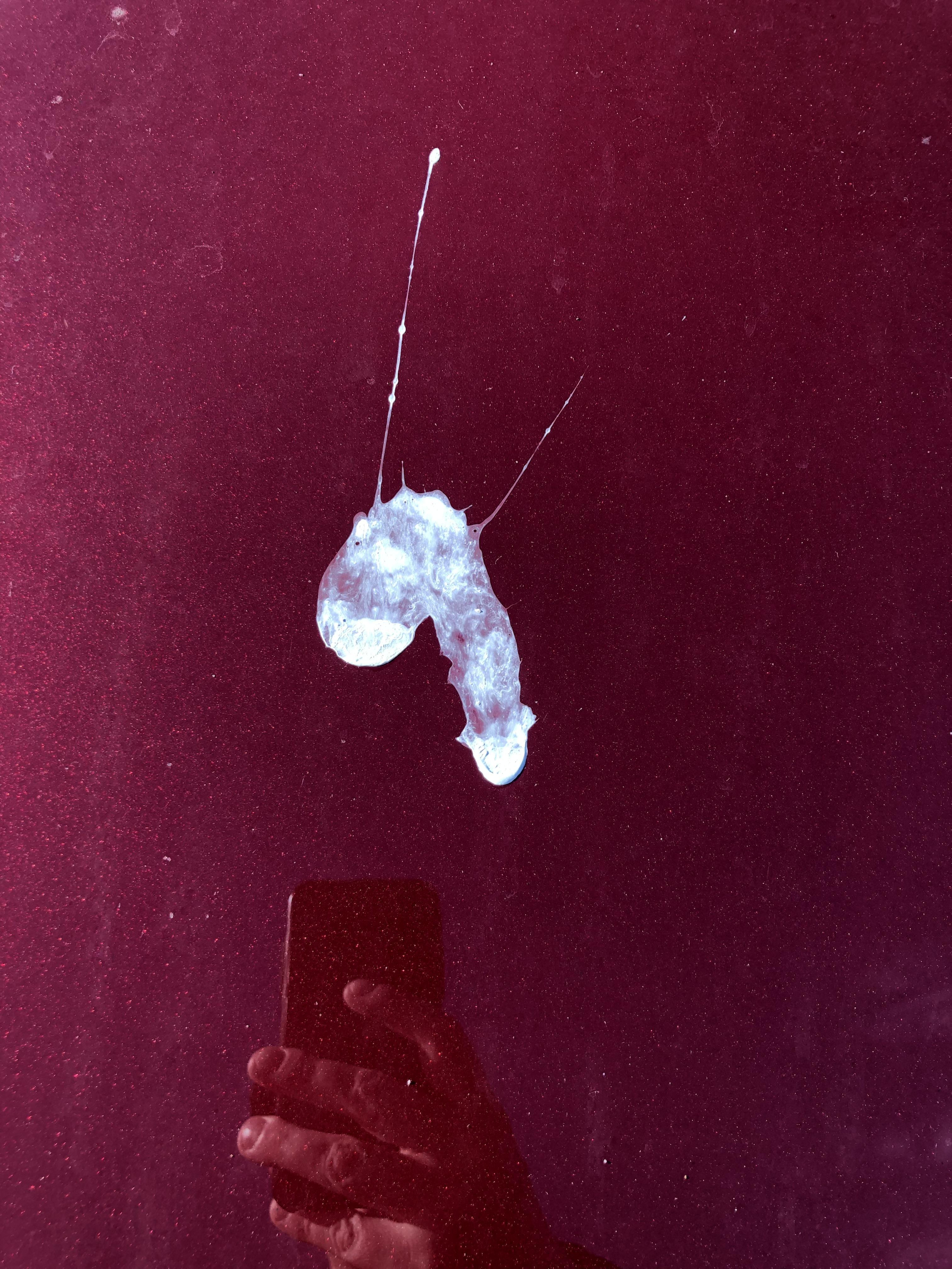 This bird poop splat on my friends car. | /r/mildlyinteresting | Mildly ...