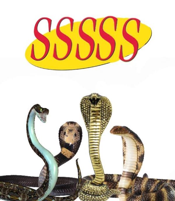 SSSSSS is my favorite 90s sitcom! | /r/Sbubby | Sbubby | Know Your Meme