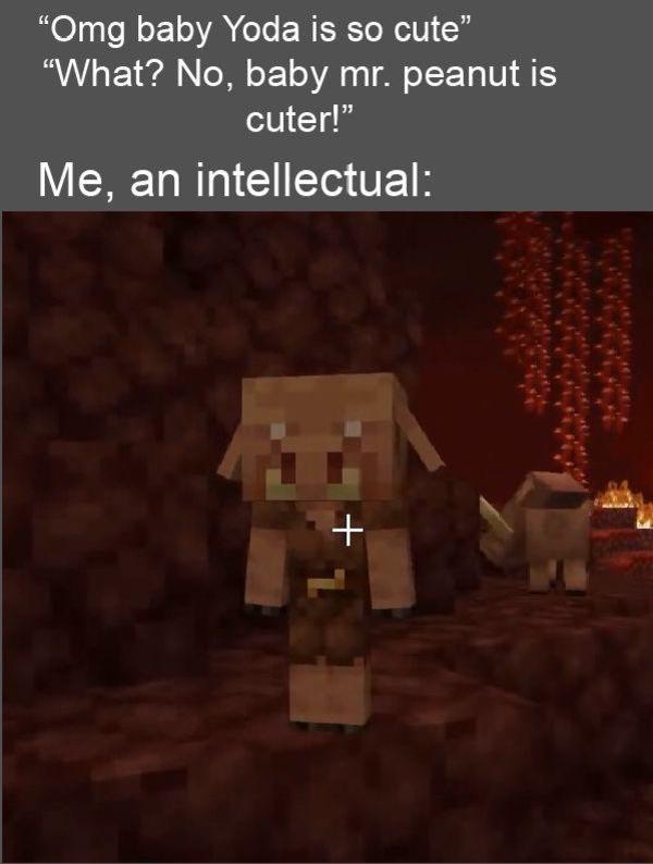 Baby piglin is the cutest | /r/MinecraftMemes | Minecraft | Know Your Meme