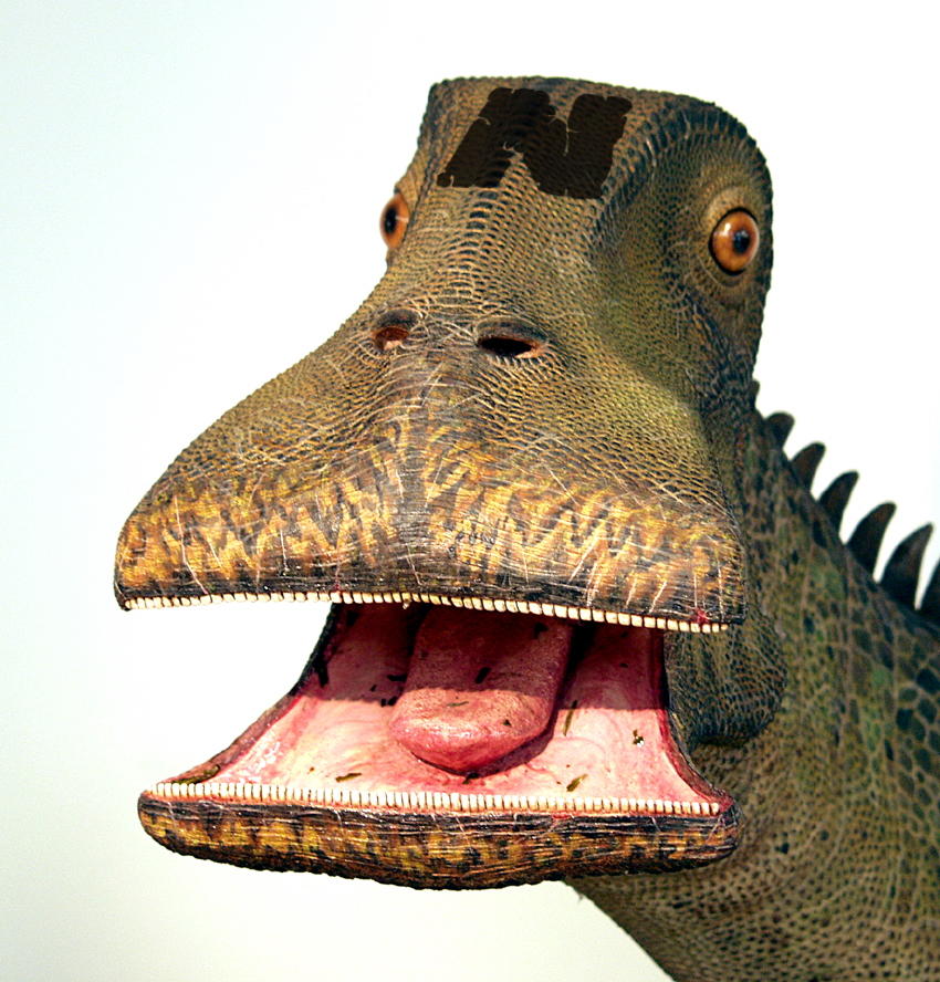 What Kind Of Dinosaur Has 500 Teeth Styleeon