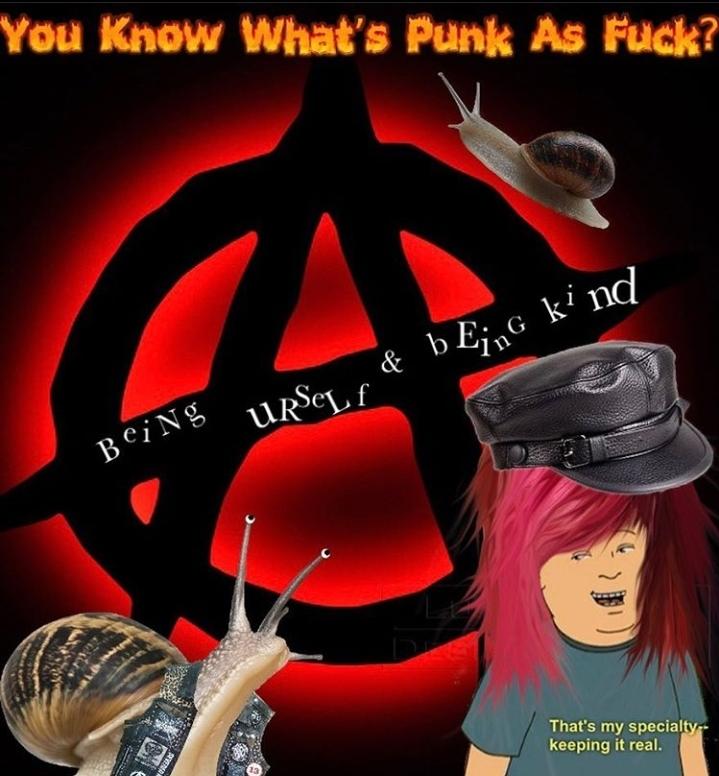 Punk as fuck | /r/wholesomememes | Wholesome Memes | Know Your Meme